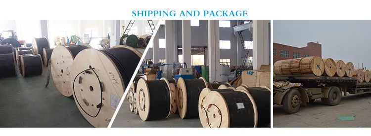 Amoured Fiber Optic 24 Core 24 Strand Fiber Optic Cable Metallic 24f ...