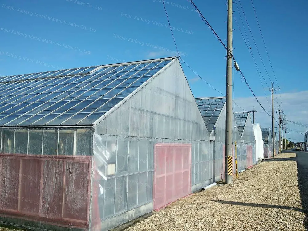 Professional Greenhouse Galvanized Steel Frame Multi-span Greenhouses ...