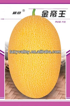 Hybrid F1 Golden Yellow Sweet Hami Melon Seeds-golden King - Buy Hami ...