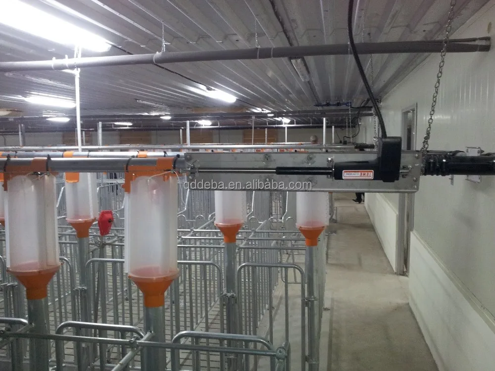 Auto Feeding System for Pigs New Plastic Livestock Automatic Feeder for ...
