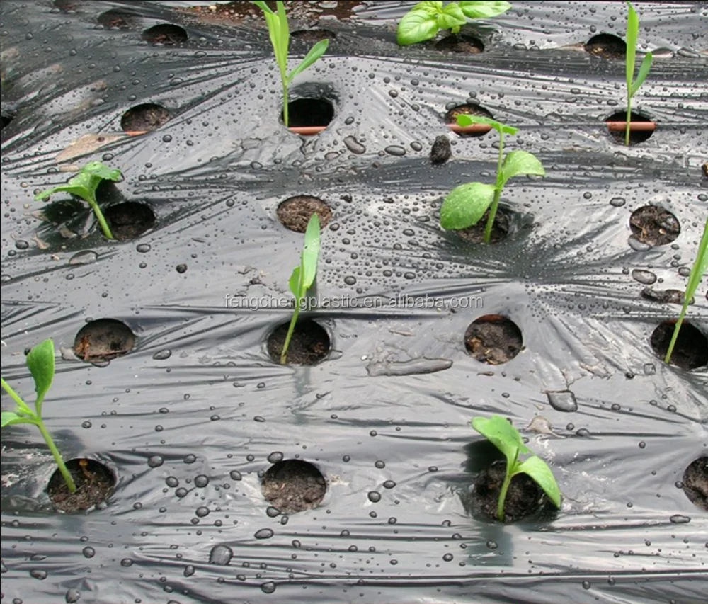 Factory Supply Plastic Mulch Layer For Plant,Agricultural Plastic ...
