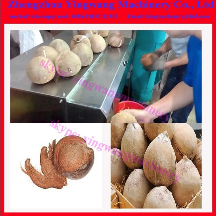 Old Coconut Shelling / Defibering Machine / Coconut Had Brown Skin ...