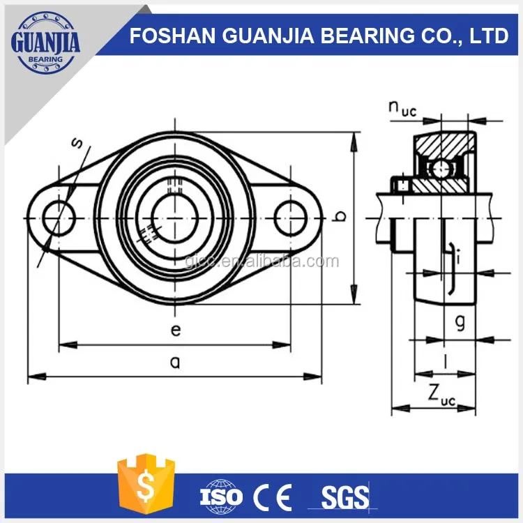 High Precision Bearing Pillow Block Bearing Fl004 Fl005 Fl006 Fl007 ...