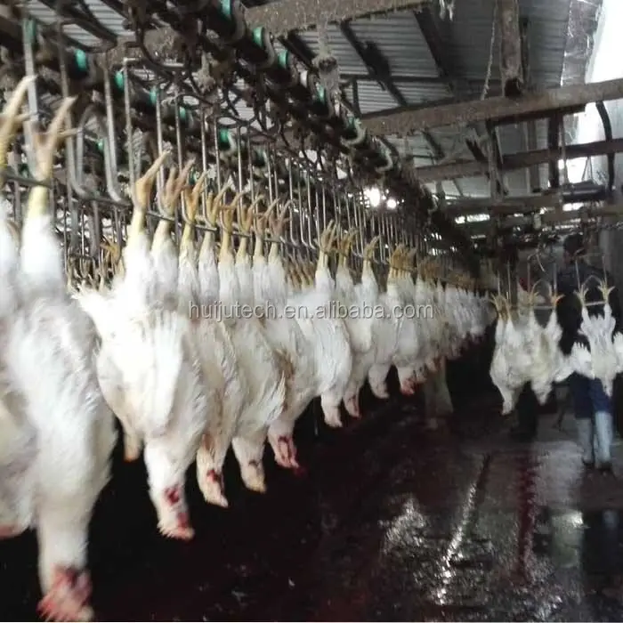 Efficient Chicken Viscera Guts Removing Machine by Huiju