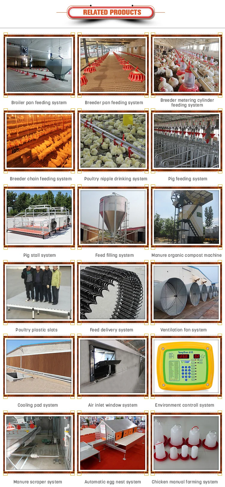 Poultry Farm Female Breeder Feeding Line,Automatic Poultry Feeder For ...