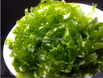 Wholesale Manufacturer,Ulva Food,Seaweed Ulva Flake|powder,Ulva|nori ...