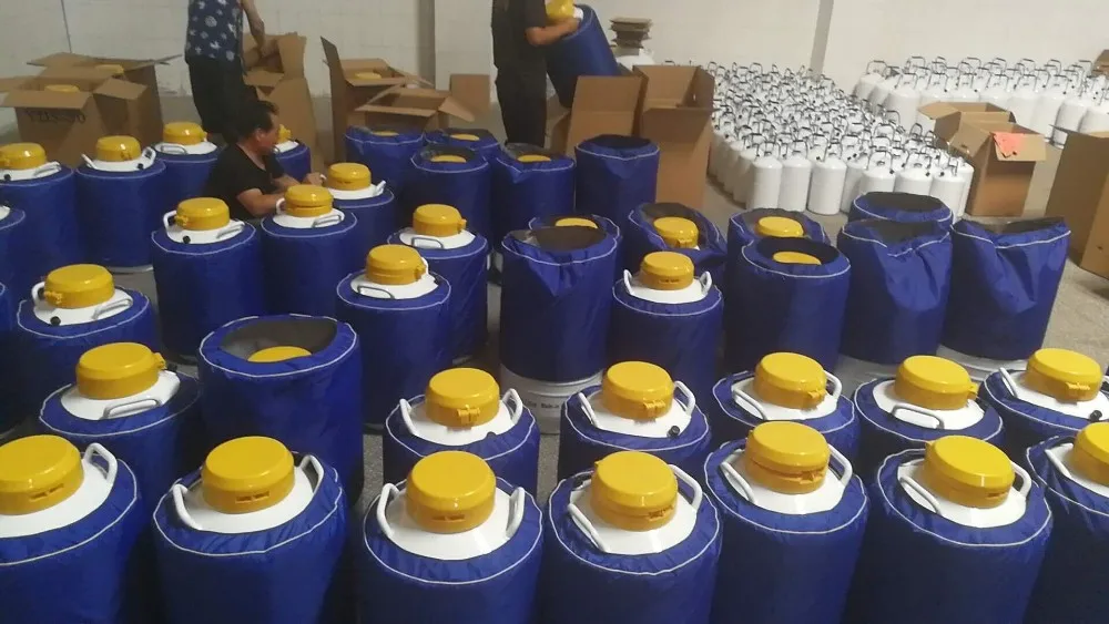 Yds-20 Liquid Nitrogen Container Small Capacity Liquid Nitrogen Dewar ...