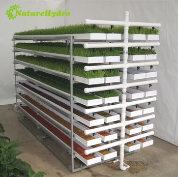 Hydroponic Fodder System Green Fodder Trays Barley Sprouting Machine ...