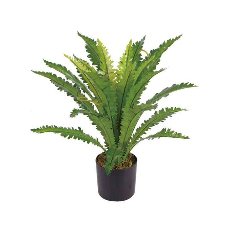 0.5m Nest Fern Small Artificial Plant In Pot - Buy Small Artificial ...
