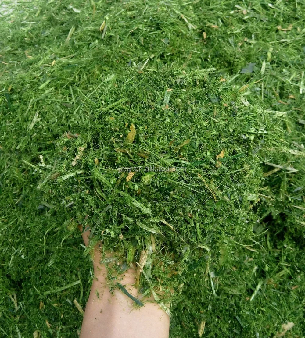 High Efficiency Automatic Animal Feed Cow Green Grass Cutting Machine ...