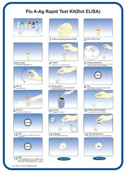 Flu-a (ag) Rapid Test Influenza-a Virus H1n1 Kit - Buy Flu-a (ag) Rapid ...
