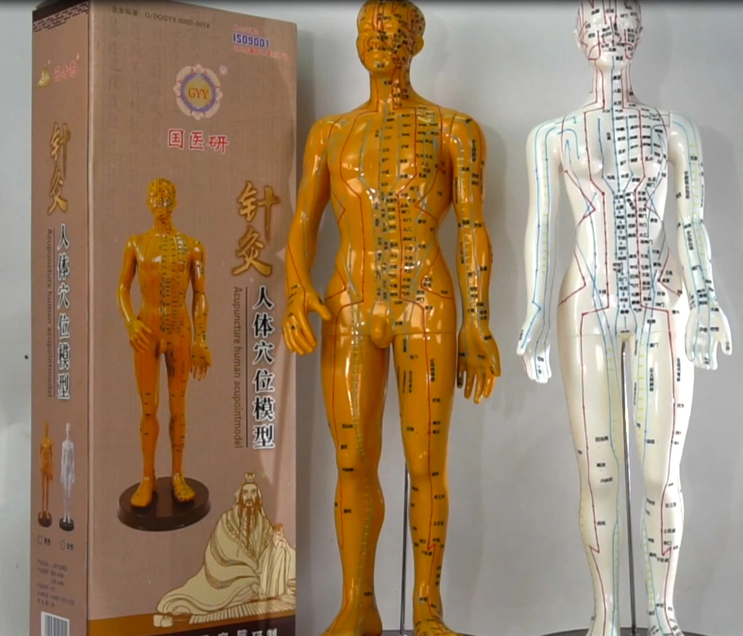 Human Body Male Acupuncture Model Manikin Point Map Bronze Human Body ...