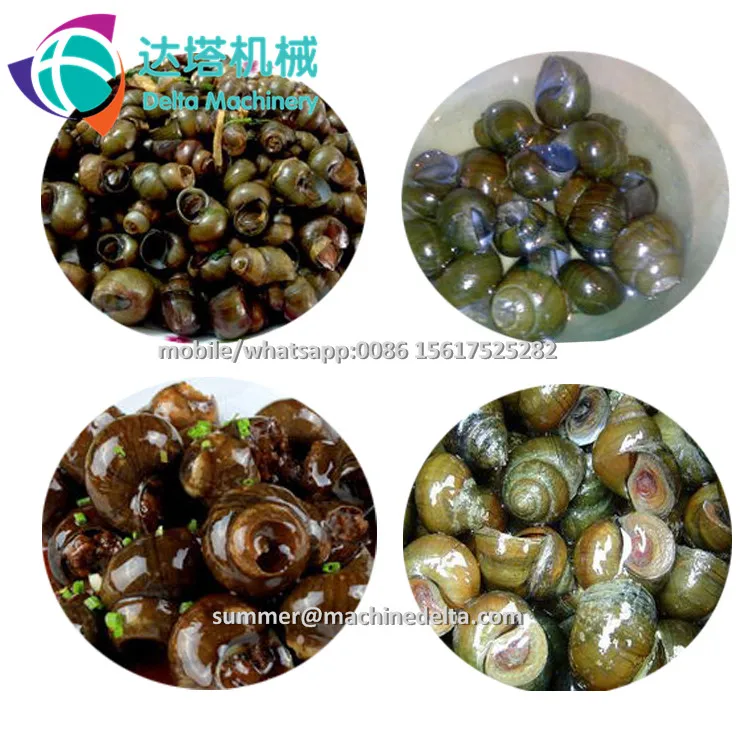 Efficient Winkles Processing Machine - Buy Frozen Winkles