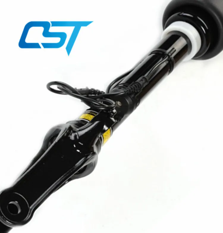 Air Suspension Factory Shock Absorber for Mercedes ML W164