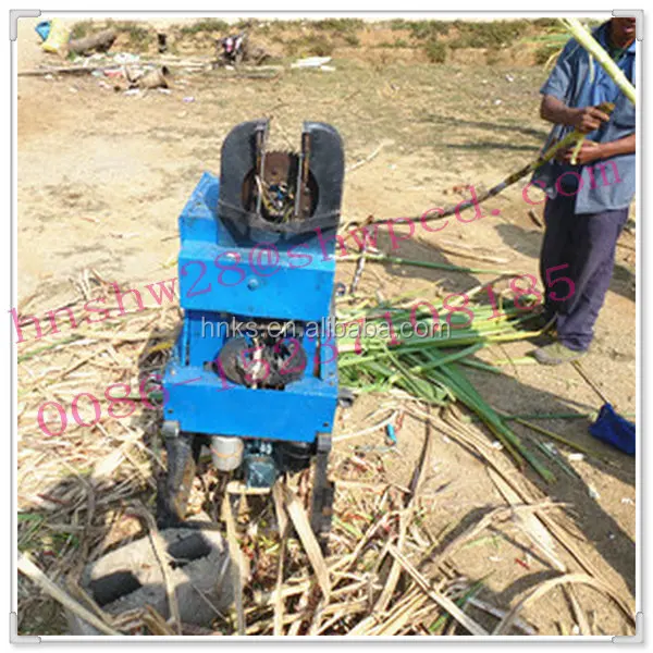 Sugarcane Leaf Stripper Machine Suagrcane Leaf Removing Machine - Buy ...