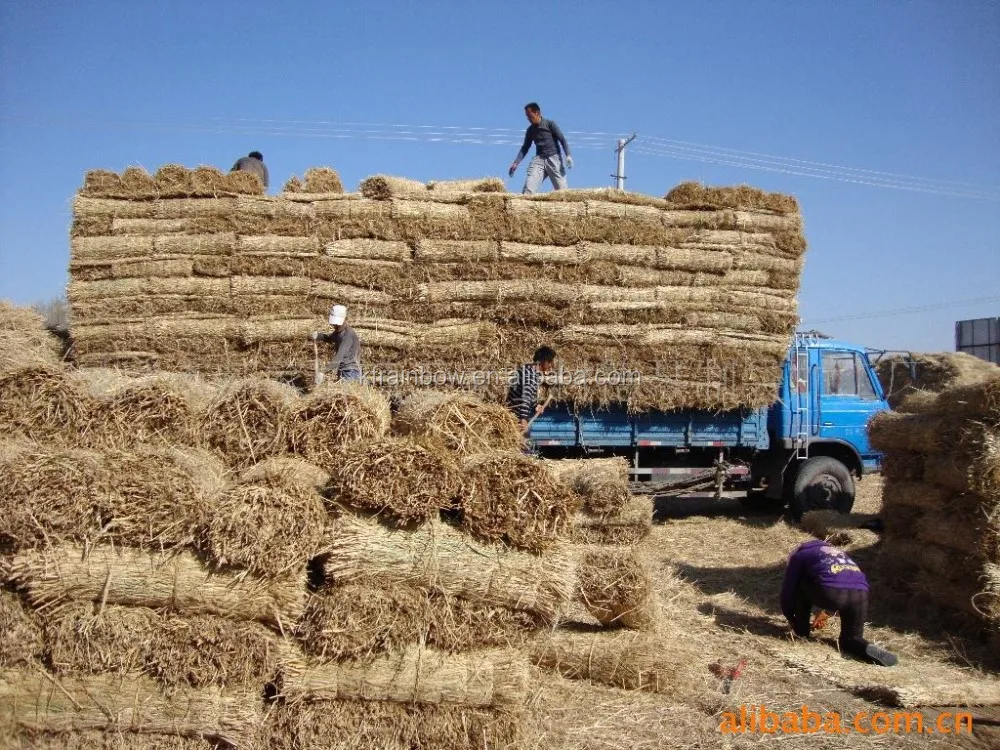 High Efficiency Straw Mat Weaving Machine Rice Straw Mat Weaving ...