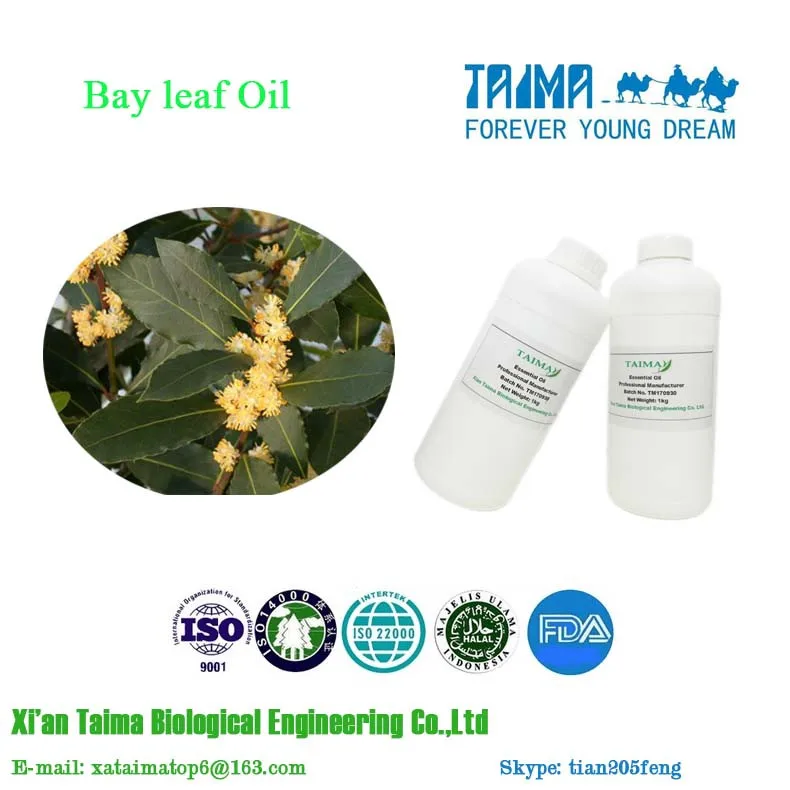Top Quality & Competitive Price Of Bay Leaf Essential Oil - Buy Natural ...