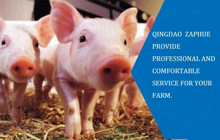 Swine Ai Kit / Insemination Catheter / Swine Ai Equipment For Sale ...