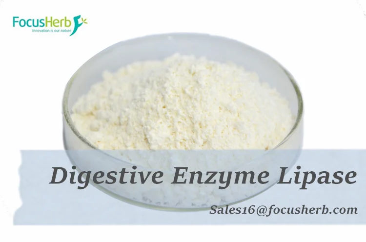 Cas 9001-62-1 Food Additives Lipase Powder,Industrial Lipase - Buy ...