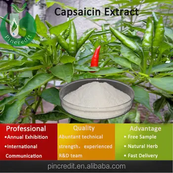 Pure Capsaicin Extract/capsaicin Extract Paprika Powder/capsaicin ...