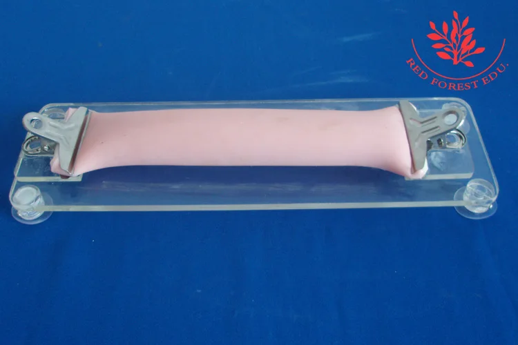 Nurse Training Intestinal Anastomosis - Suture Practice Model