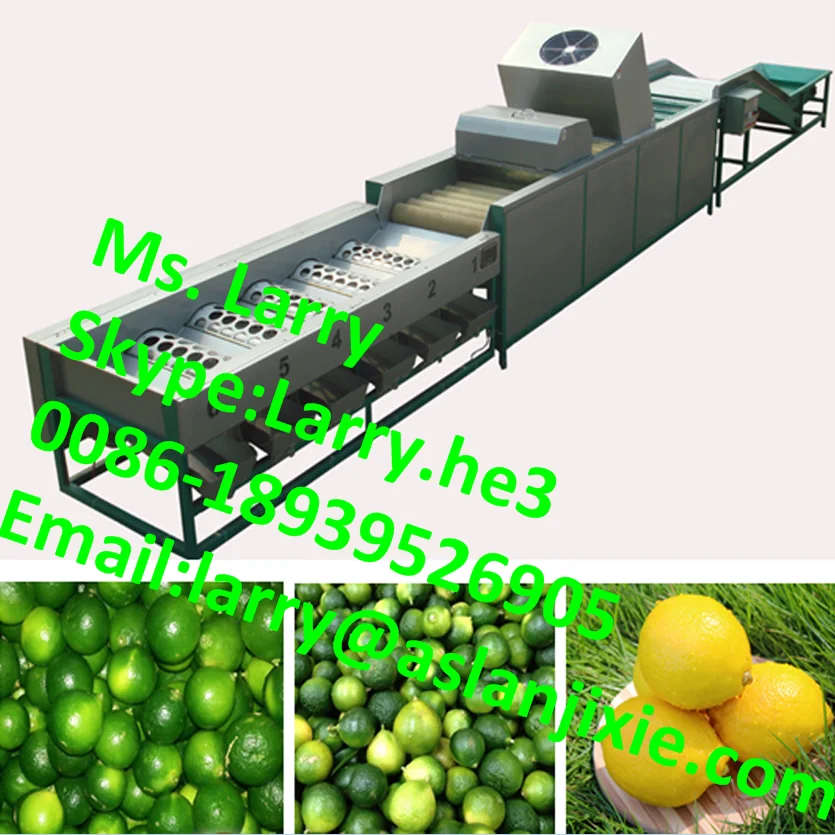 Citrus Processing Machine/citrus Fruit Sorting Machine/citrus Sorting ...