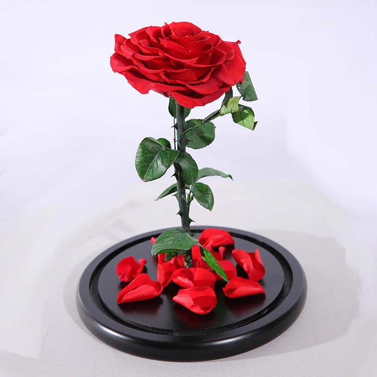 20*30cm Quality Decorative Forever Eternal Everlasting Preserved Rose ...