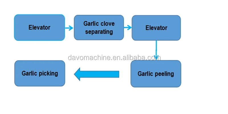 Garlic Peeling Machine/ Garlic Peeler Machine/ Garlic Processing Plant ...