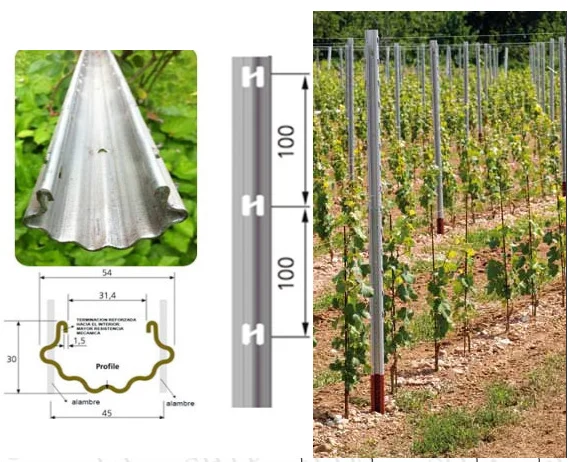 Various Type Steel Galvanized Vineyard Trellis Post Grape Stakes - Buy ...