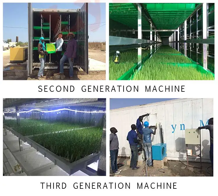 Automatic Hydroponic Growing Fodder Systems For Livestock Feed - Buy ...