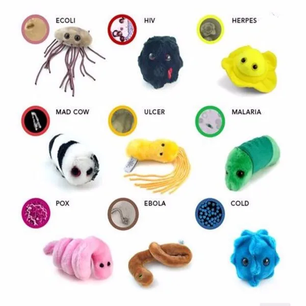 Stuffed Microbes / Plush Bacteria Organs Plush Toys Giant Plush ...