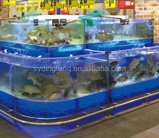 Dingfeng Customized Chiller Supermarket Or Restaurant With Light Large ...