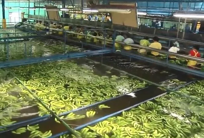 Banana Orange Pulp Paste Ketchup Processing Plant Production Machine ...
