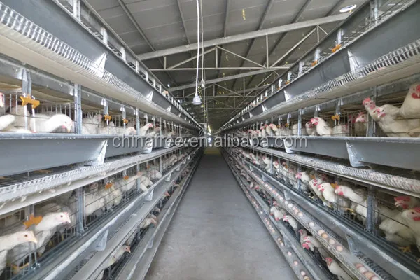 2014 Professional Commercial Chicken House/metal Chicken Nesting Boxes ...