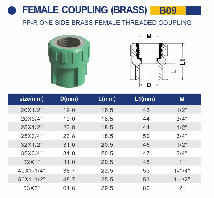 Brass Female Coupling - Durable PPR Pipe Fittings