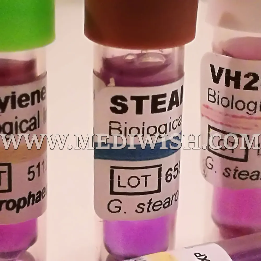 Sterilization Indicators Definition at Tammy Depew blog