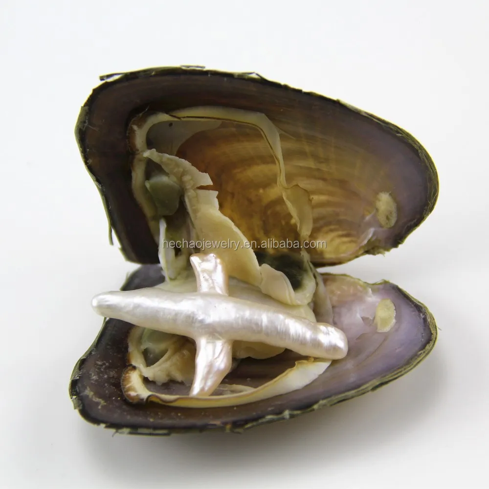 Wholesale Oyster Shells With Pearl,20-50mm Baroque Natural Pearl,Cross ...