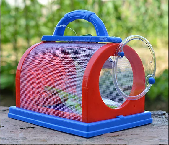 Children's Insect Box; Insect Rearing Cage For Outdoor Scientific ...
