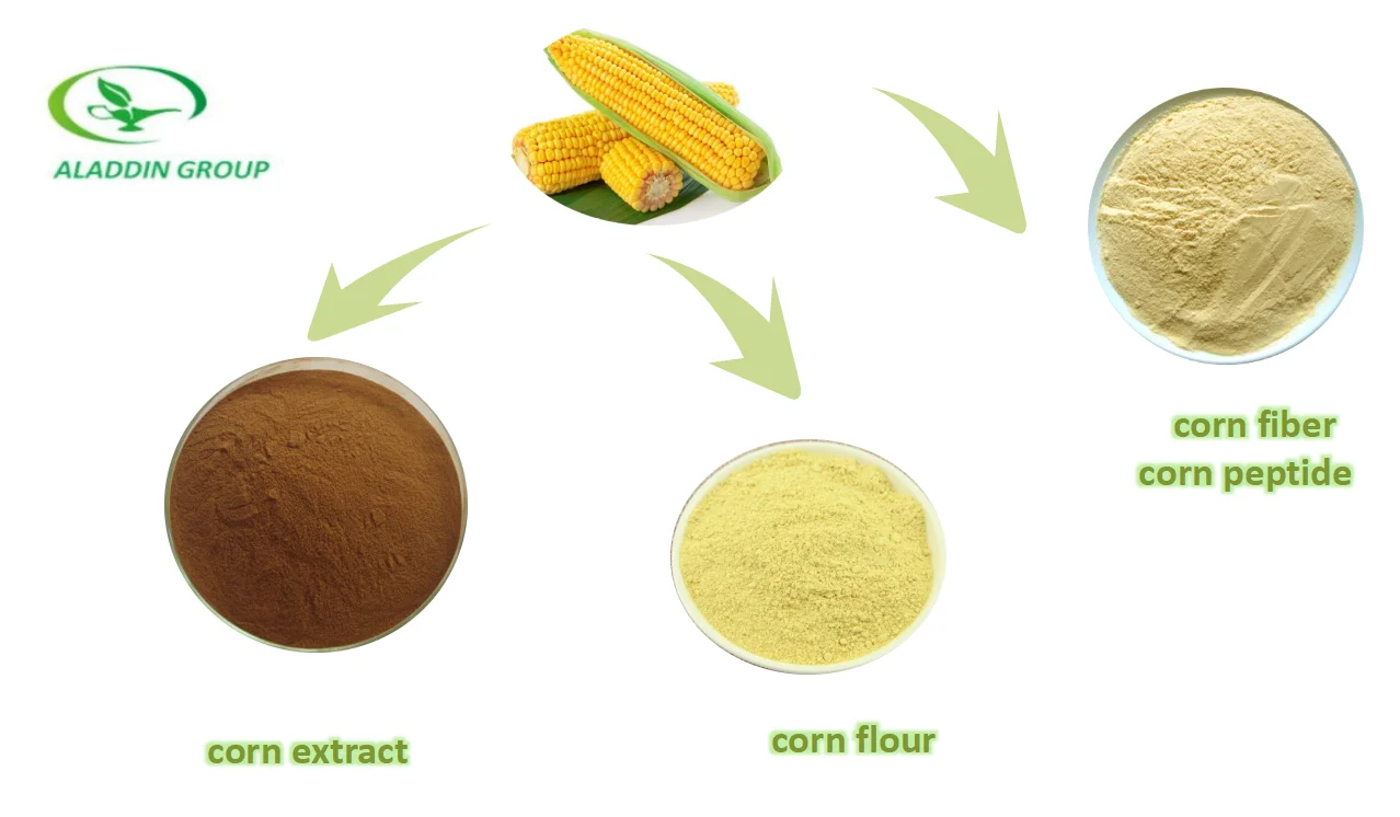 Haccp New Product Food Grade Free Sample Corn Extract Corn Flour Corn ...
