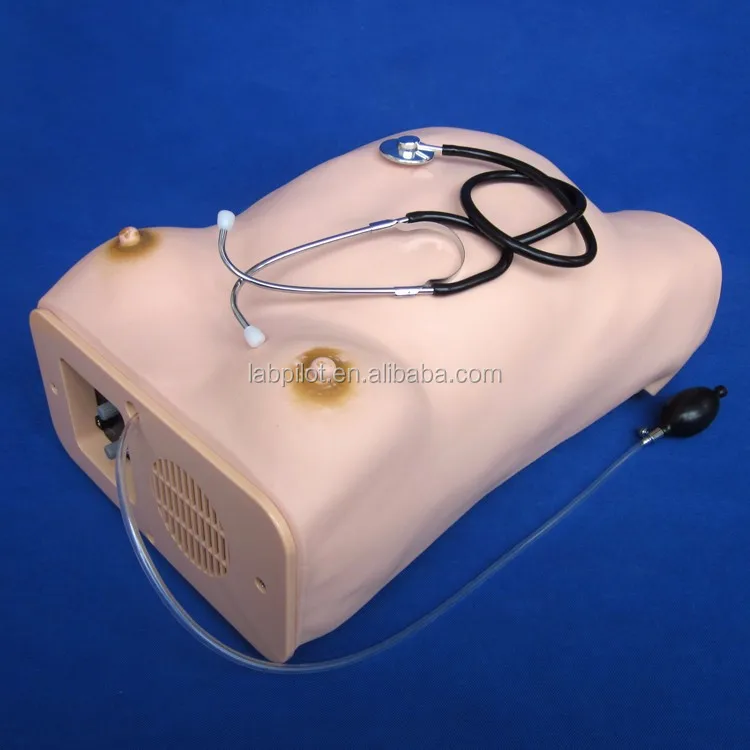 Advanced Four Maneuvers Leopold Model,Maternity Examination And Foetus ...