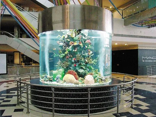 Xc Large Round Customized Acrylic Fish Aquarium - Buy Cylinder Acrylic ...