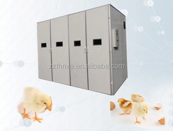 Cheap Egg Hatching Machine/chick Hatch Machine - Buy Chick Hatch ...