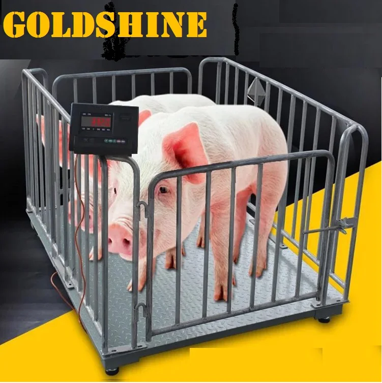 60kg Animal Weighing Best Pet Weigh Livestock Platform Pig Scale For ...