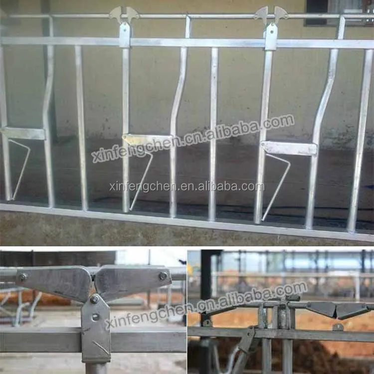 Cattle Cow Headlock And Cow Free Stall For Dairy Cow Farm Equipment ...