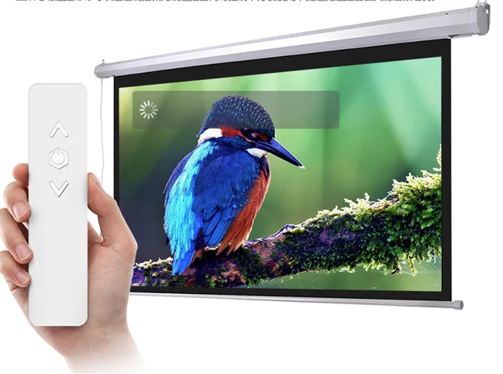 TELON ALR Projector Screen 100" 16:9 - Short-Focus & Black Diamond Fabric