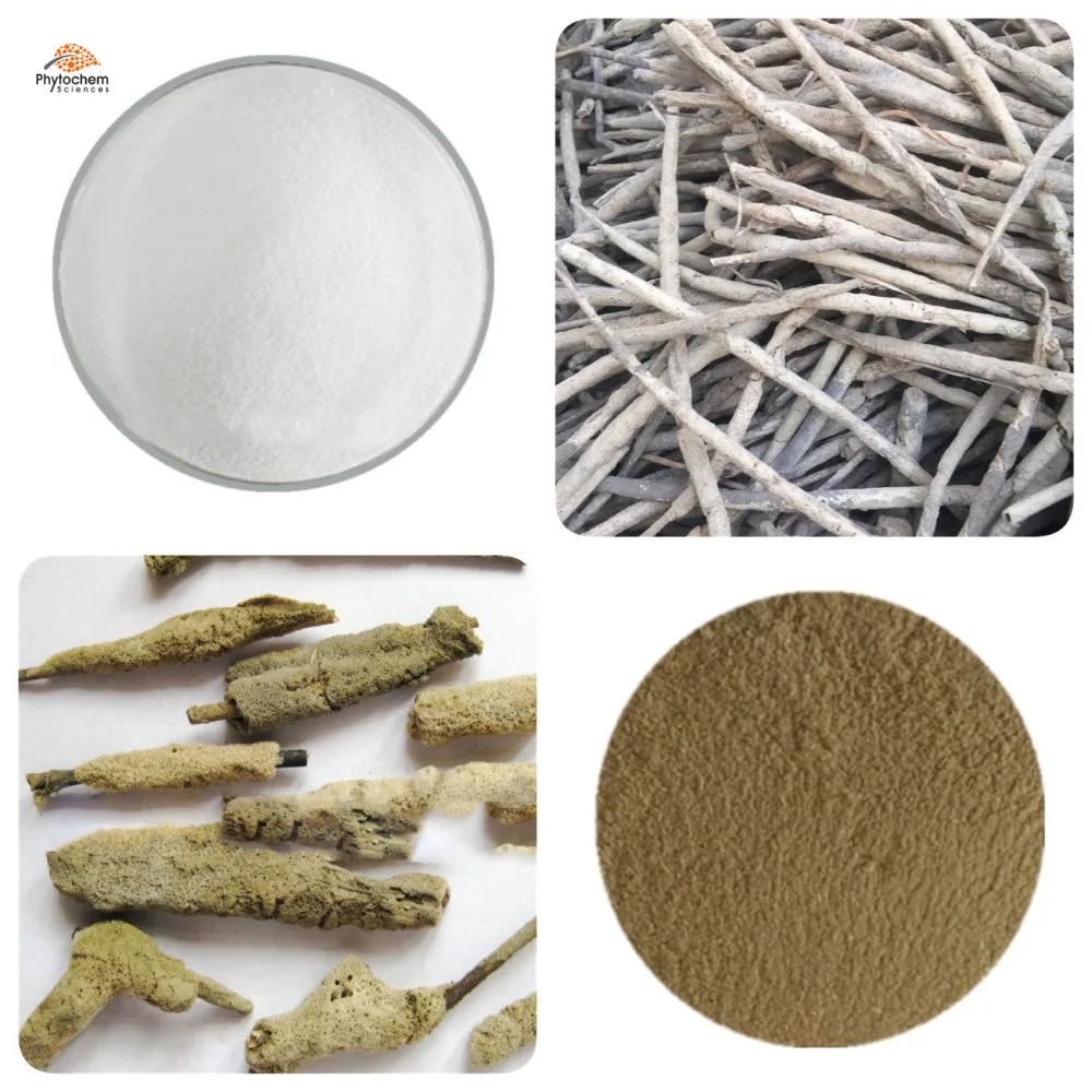 Cosmetic Freshwater Sponge Spicules Spongilla Lacustris Extract ...