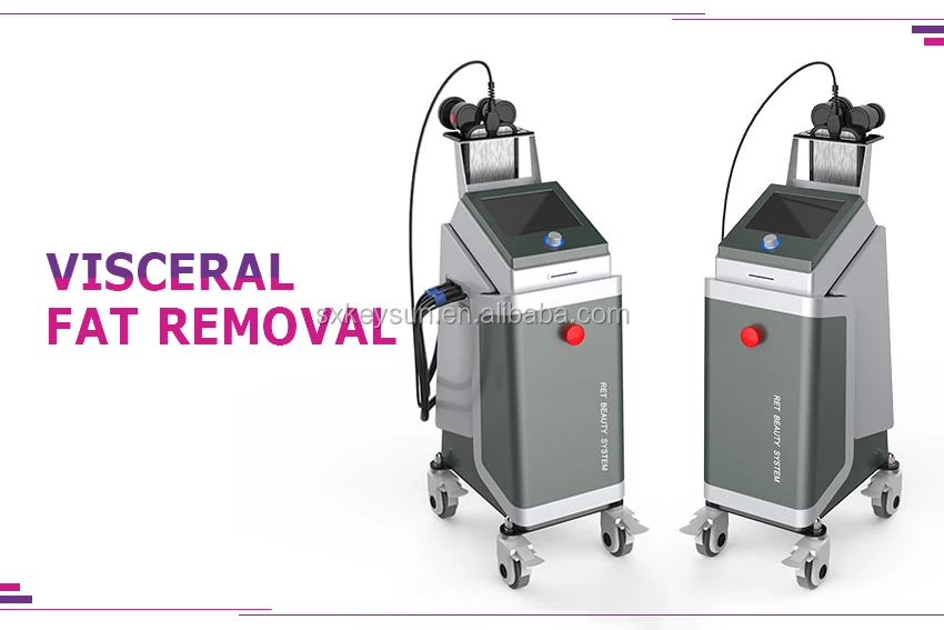 Sales Lipo Laser Weight Loss 2020 Professional Fat Burning Machine Ret ...