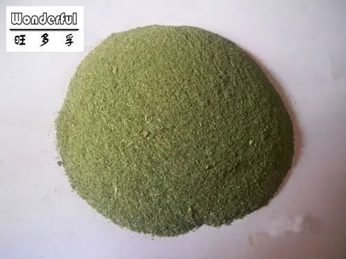 Ulva Seaweed Lettuce Powder,Green Salad,Chicken Feed Seaweed Meal - Buy ...