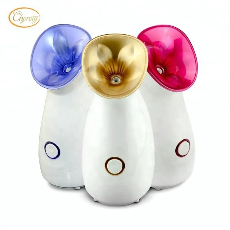 2021 Handheld Hair Steamer Portable Professional Usb Rechargeable Nano ...