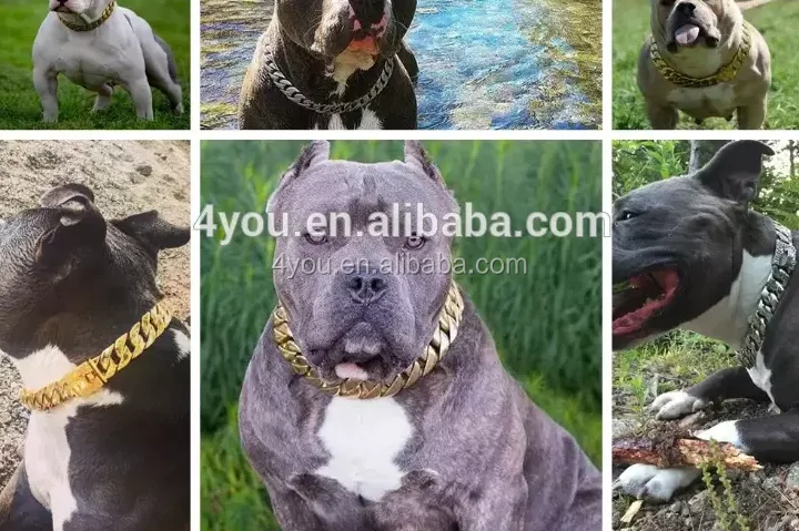 Luxury 18k Gold Plated Cuban Link Pitbull Gold Chains Thick Metal ...